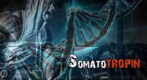 Учёные и эксперты о гормоне роста: побочные эффекты и последствия ...