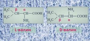 Valine: can an amino acid be considered a vitamin, in what foods is it ...