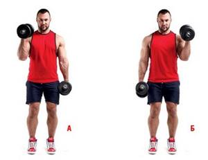 How to properly pump up your forearms at home using dumbbells and a ...